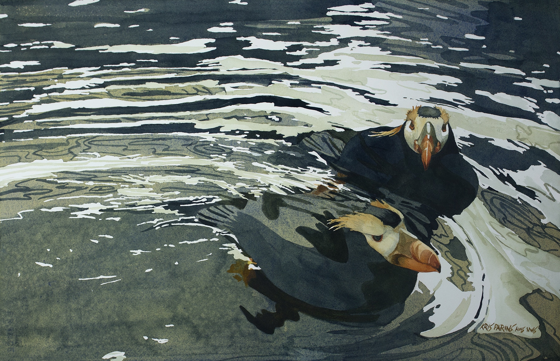 Ambassador of the Week: Kris Parins - American Watercolor