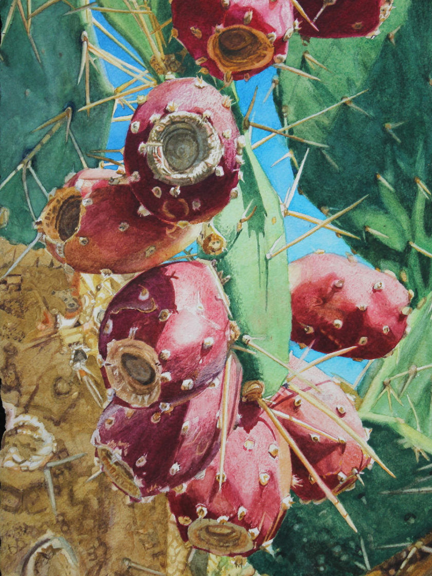 Top-Grade Watercolors Spring Up in Albuquerque - American Watercolor