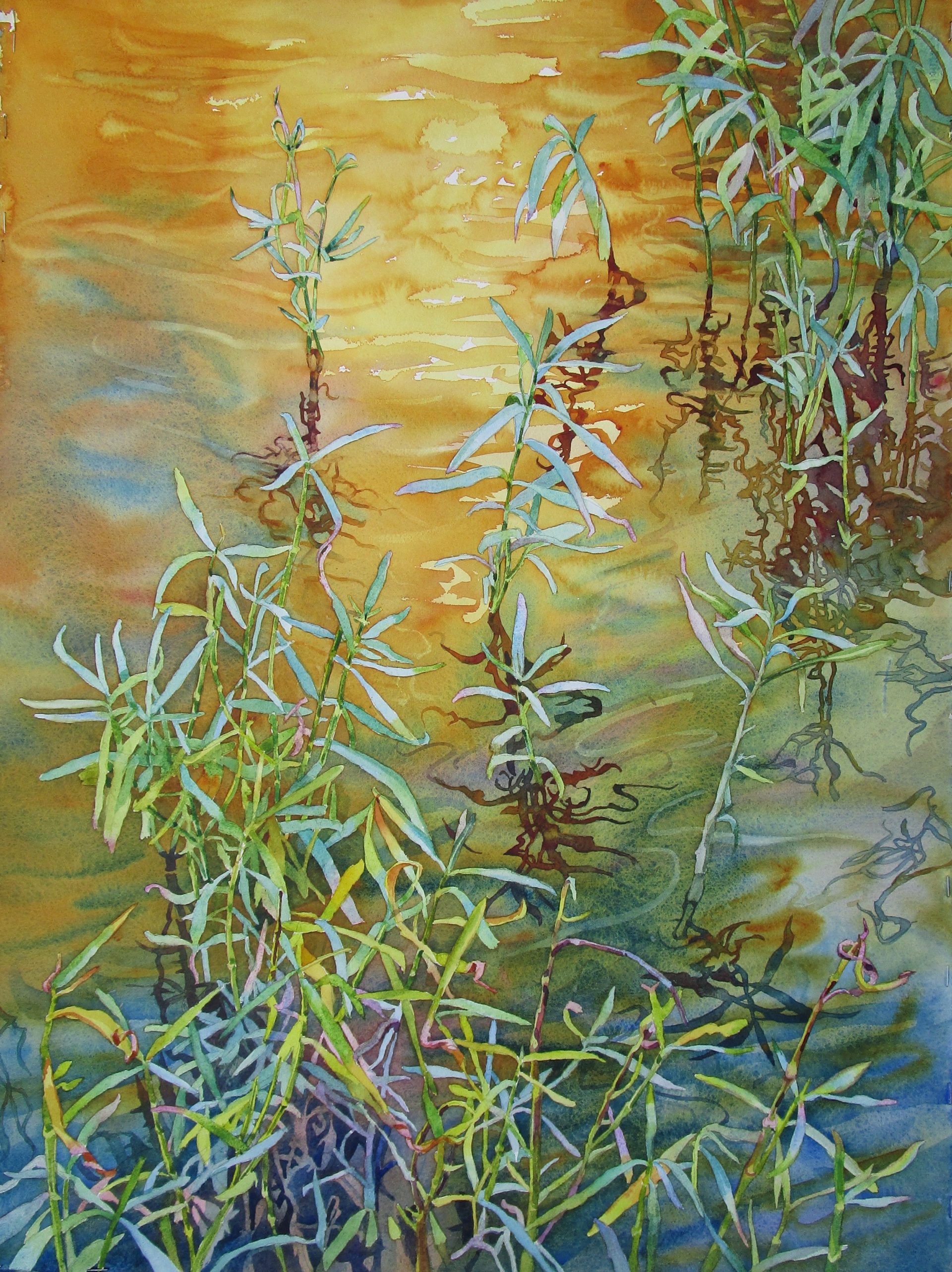 Ambassador of the Week: Jeanne McLeish - American Watercolor