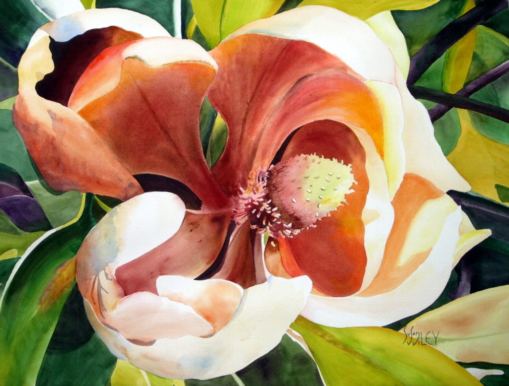 Ambassador of the Week: Susan Wiley - American Watercolor