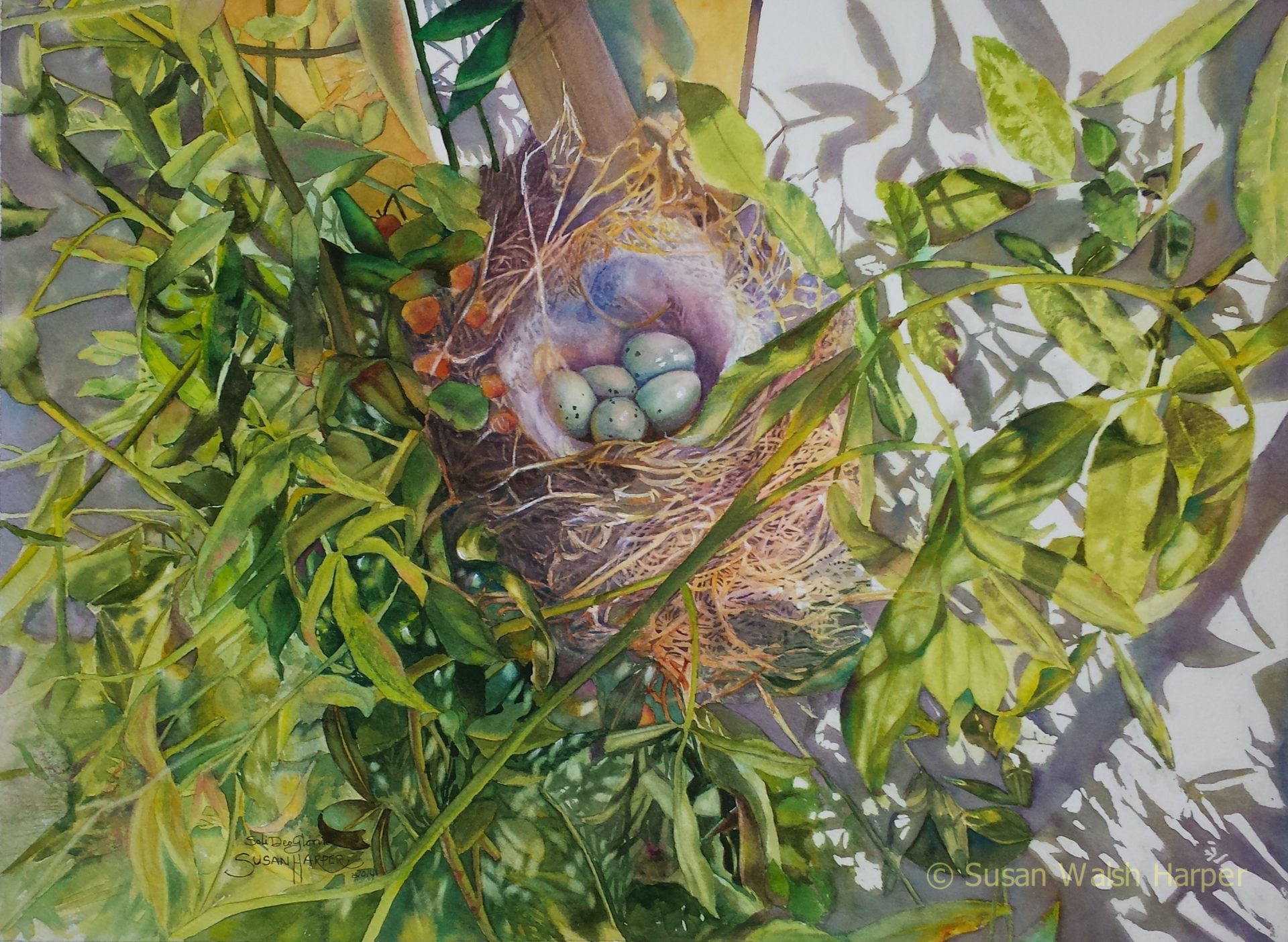 Ambassador of the Week: Susan Harper - American Watercolor